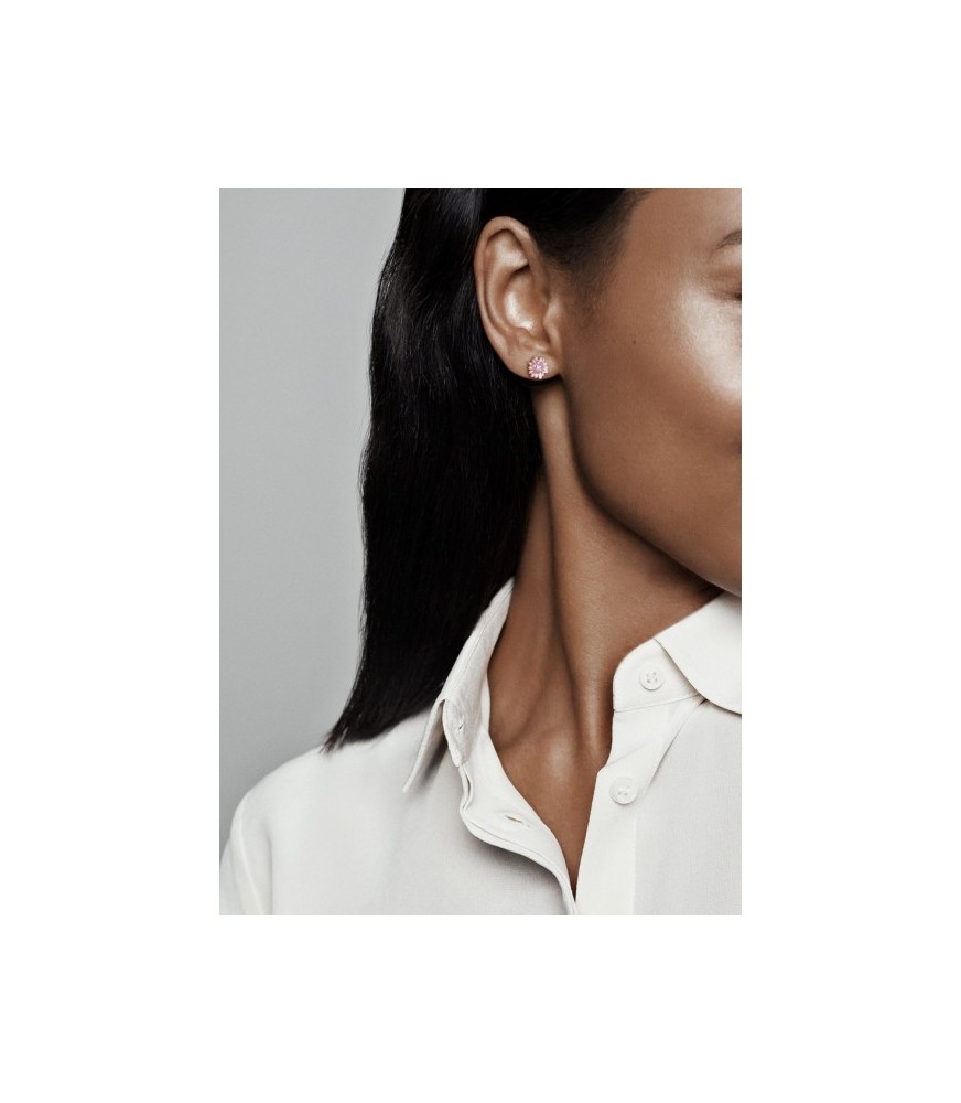 Pendientes de botón en PANDORA Rose Margaritas Rosas REF. 288773C01